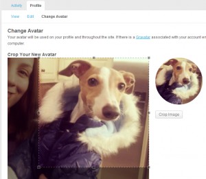 Customizing BuddyPress Avatars · BuddyPress Codex