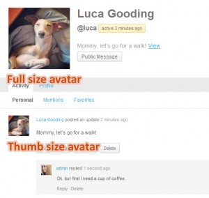Customizing BuddyPress Avatars · BuddyPress Codex
